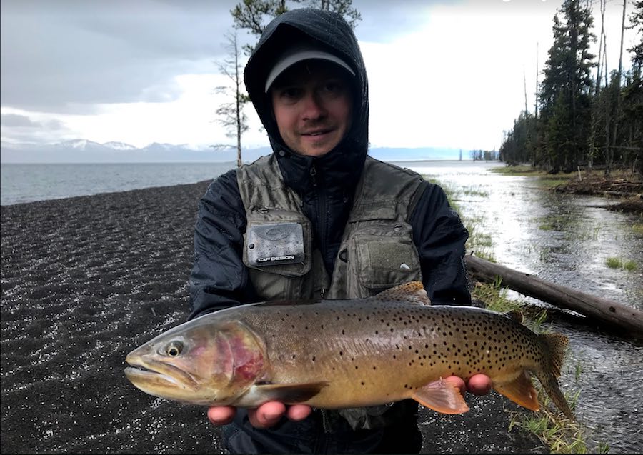 Home Office Life: Laura Szabó and Gyula Bajkai - Digital Product ...